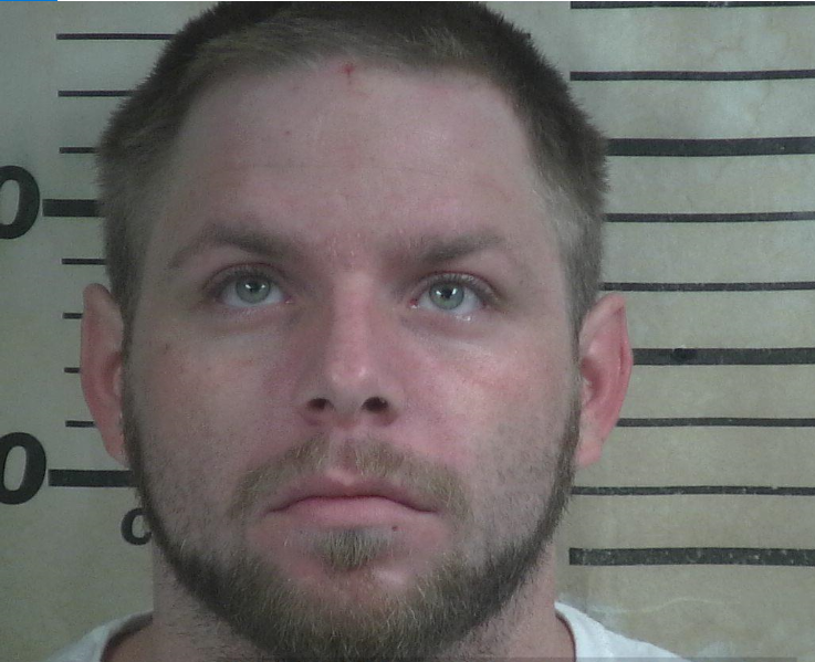 Did You Know Sears & Roebuck Sold Houses? - The Cullman Tribune