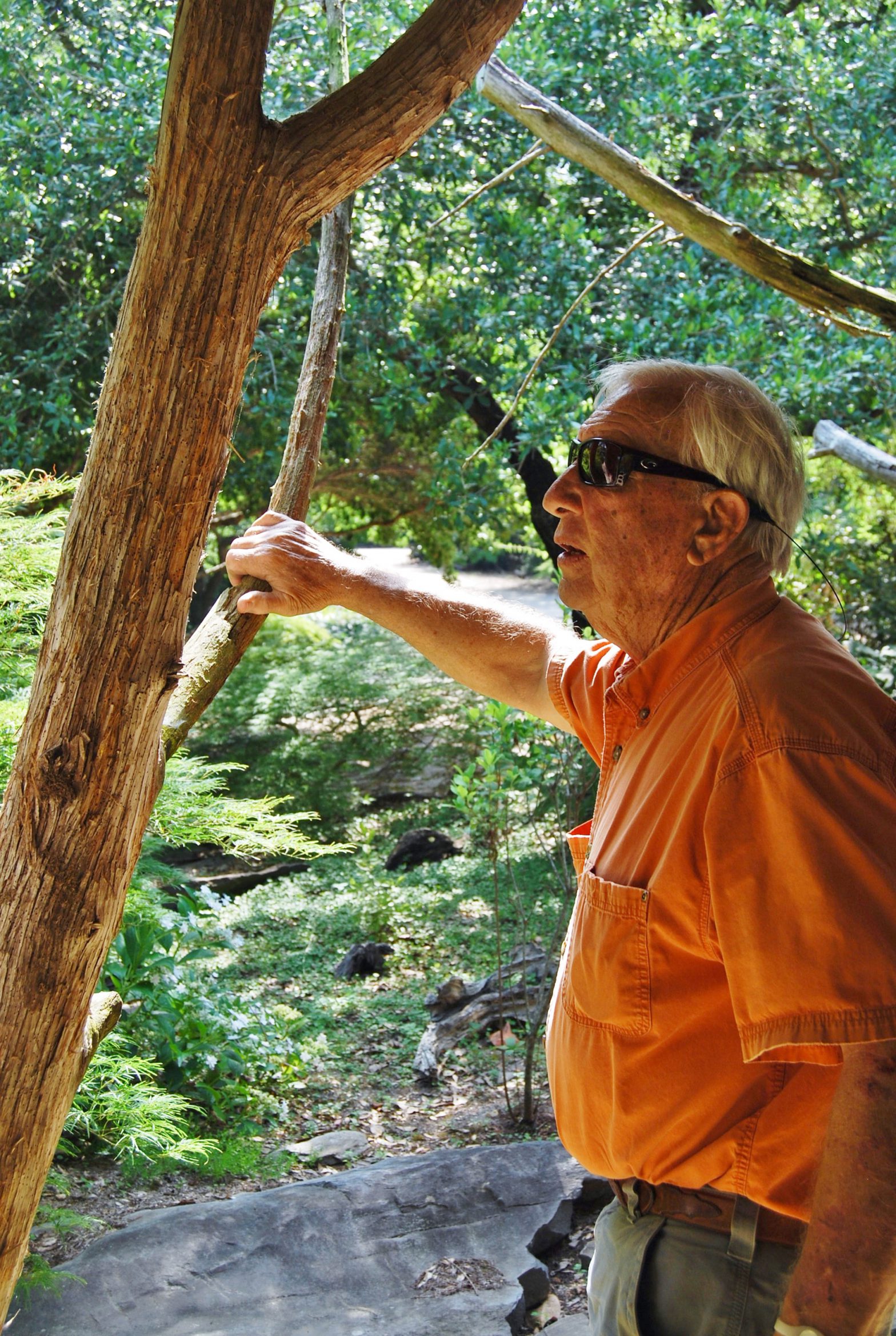 Coach Pat Dye: From the arena to the arboretum - The Cullman Tribune