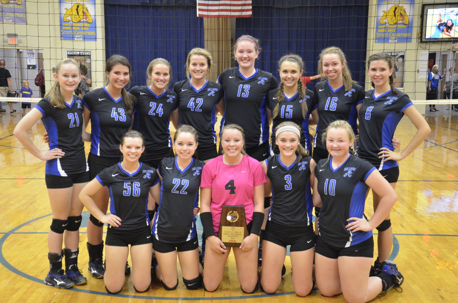 Addison Lady Bulldogs dominate, claim 1A, Area 12 title - The Cullman ...