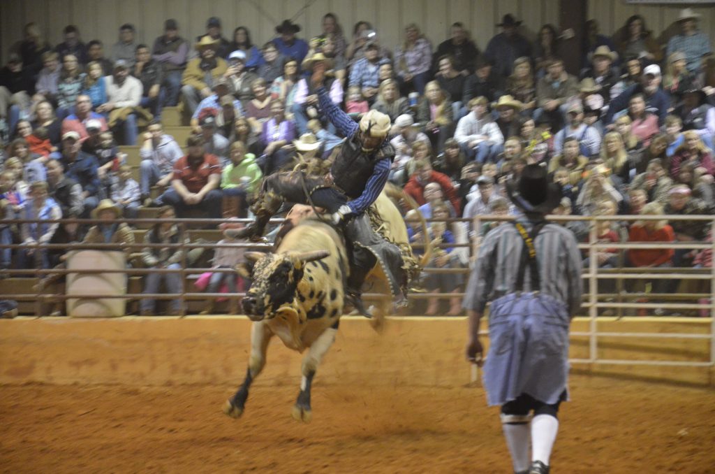 Eight seconds to fame, annual Sheriff’s Rodeo a success - The Cullman ...