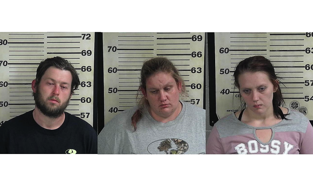 3 arrested on drug charges - The Cullman Tribune