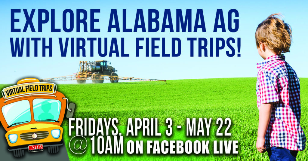 Upcoming virtual field trips to feature honeybees, catfish - The ...