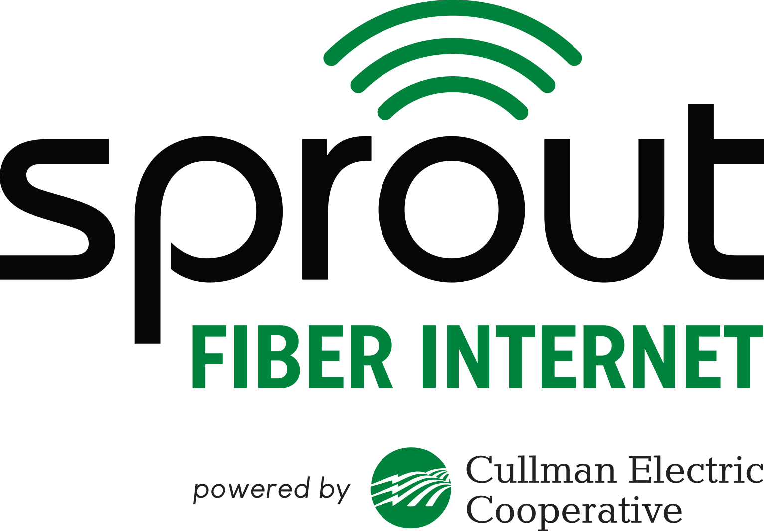 Cullman EC launches Sprout Fiber Internet - The Cullman Tribune