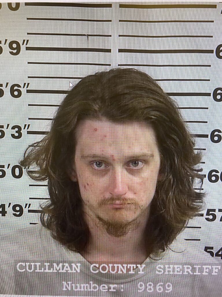 Cullman man arrested on theft charges - The Cullman Tribune