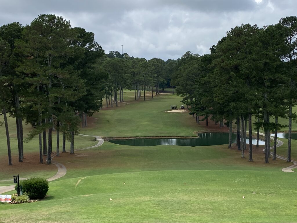 Brooks’ Place hosts annual golf tournament - The Cullman Tribune