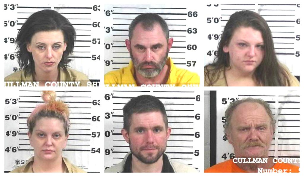 CCSO arrest roundup - The Cullman Tribune