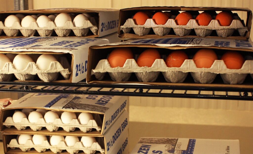 The truth behind eggcessively expensive eggs - The Cullman Tribune