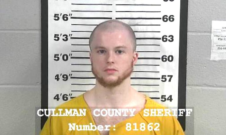 Holly Pond man charged with possession, dissemination of child ...