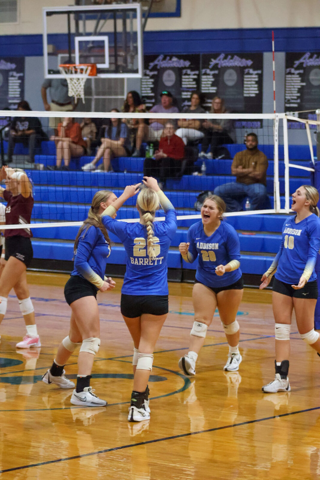 PREP VOLLEYBALL: Addison sweeps St. Bernard, Meek to win area 14 title ...