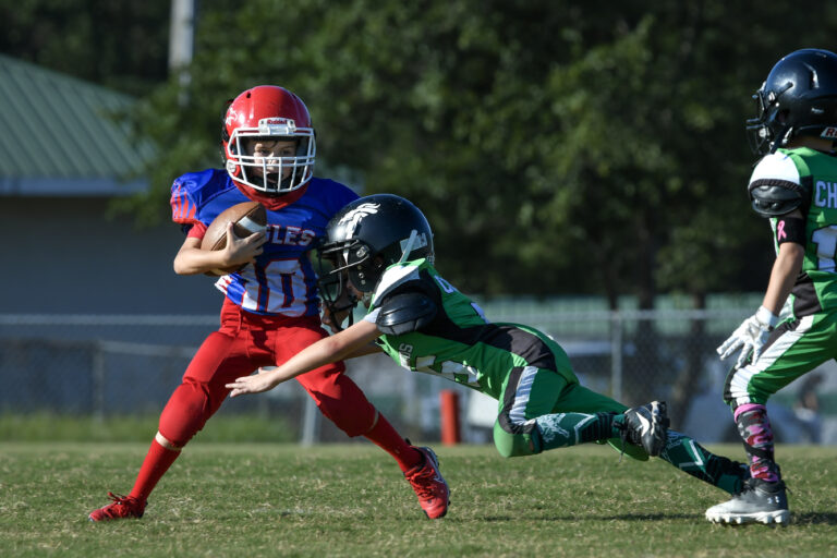 Cullman County Youth Football week 7 scoring recap - The Cullman Tribune