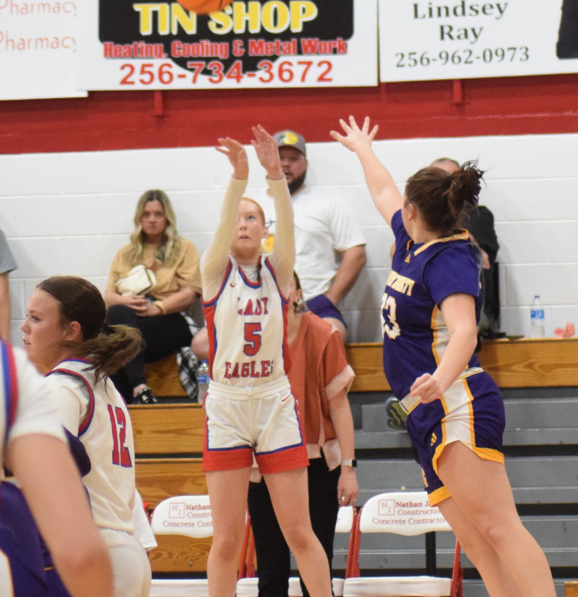 PREP BASKETBALL: Vinemont splits season openers against Madison County ...