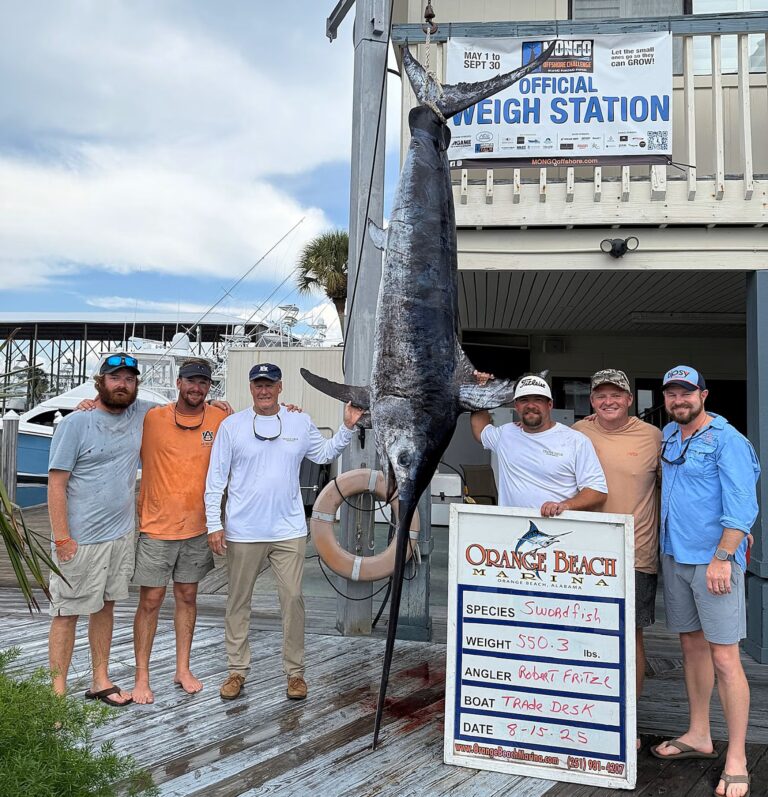 Trade Desk's unexpected catch results in state record swordfish - The ...