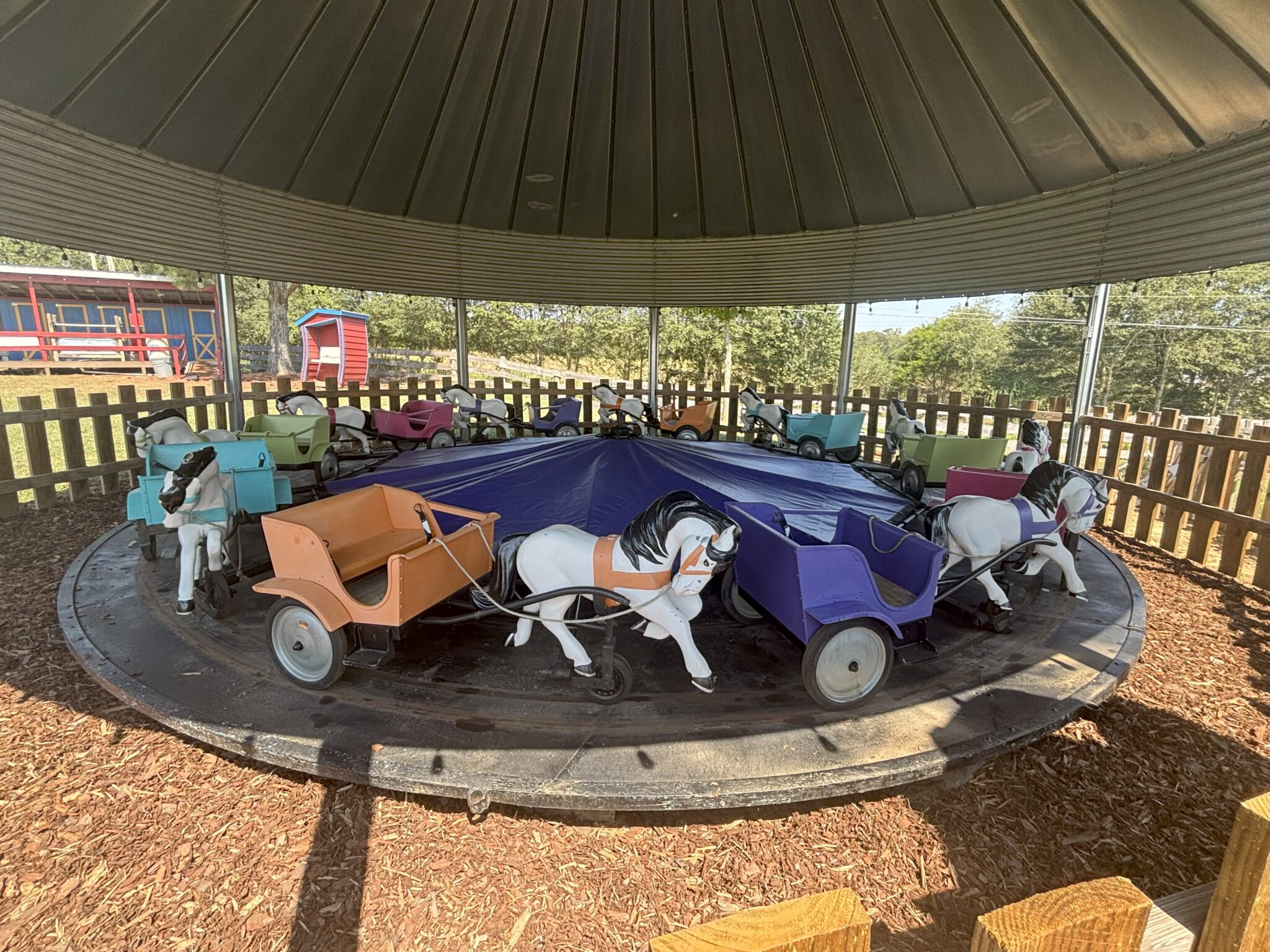 4D Farm hosting rodeo event this weekend - The Cullman Tribune