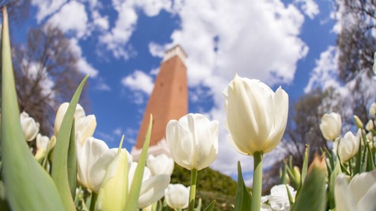 4 local UA Early College students named to Summer 2025 Director's List ...