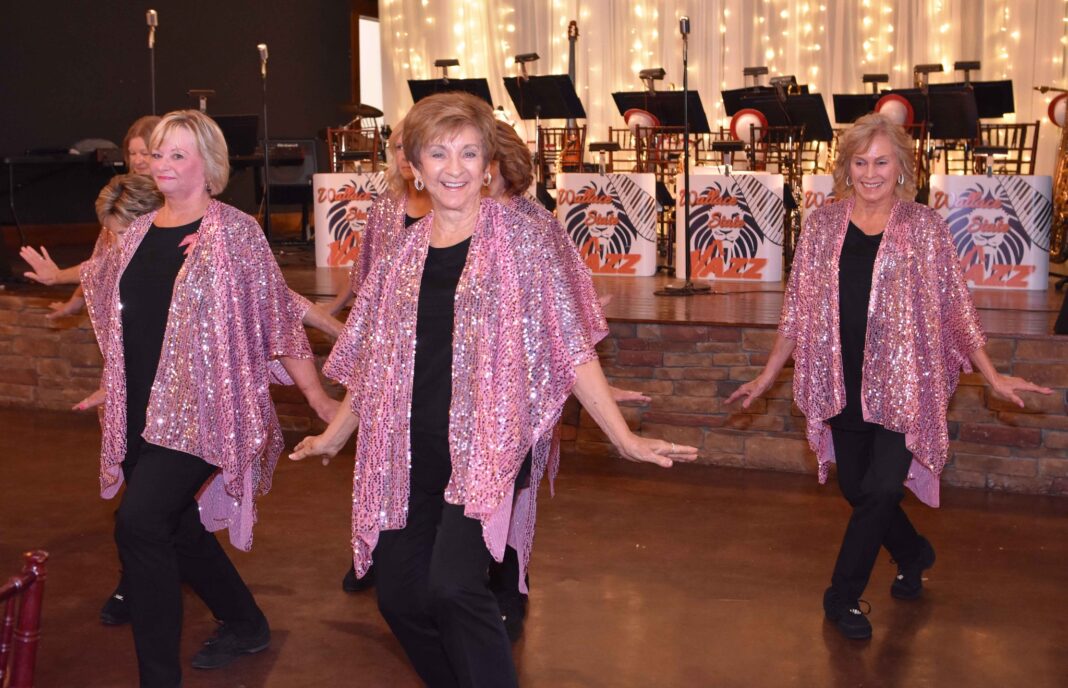 Little Pink Dress brings in $88K - The Cullman Tribune