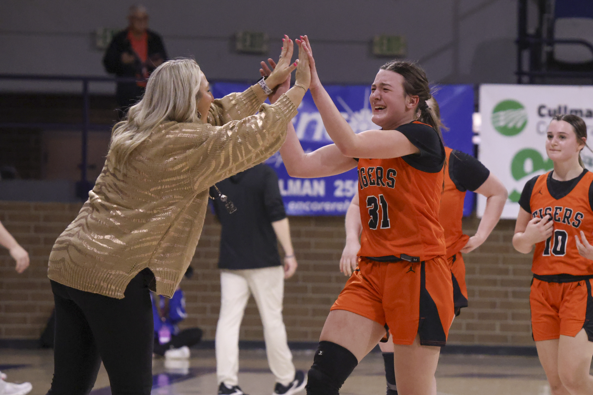 PREP BASKETBALL: Meek Lady Tigers earn Elite Eight appearance with 63 ...